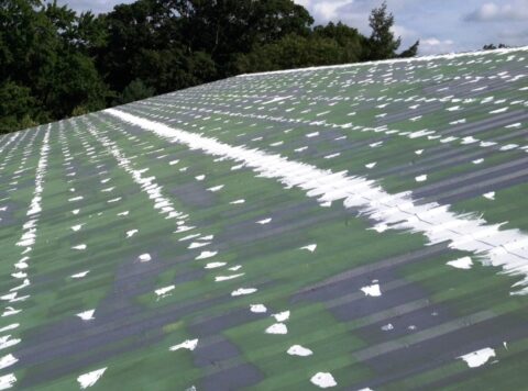 AP-2300 Acrylic Mastic