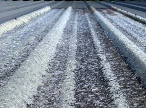 AP-6400 Skylight Coating